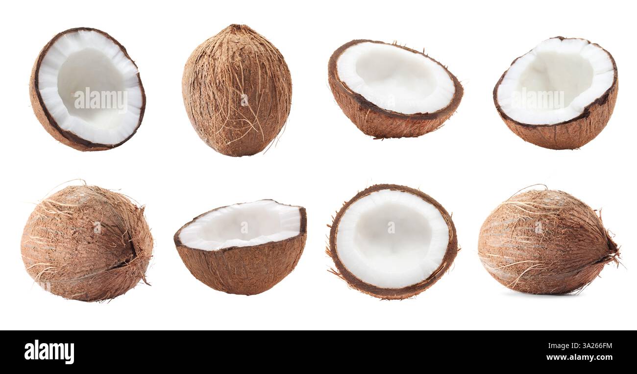 Set of fresh coconuts isolated on white Stock Photo - Alamy