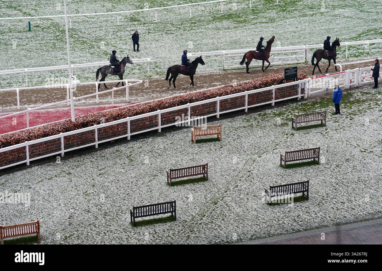 Horses make their way in from the snow covered gallops on day two of ...