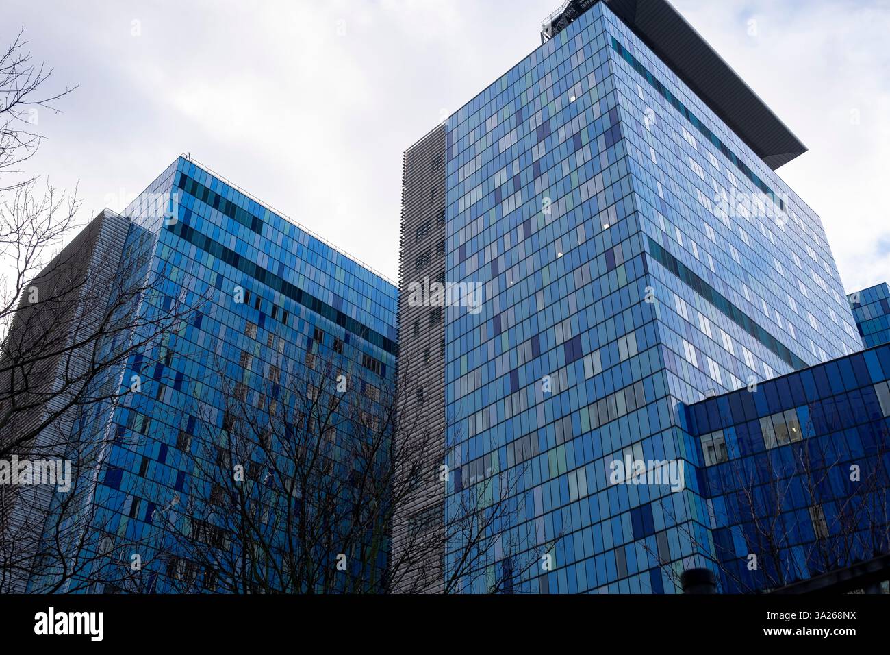 Blue exterior architecture of the Royal London Hospital in Whitechapel ...