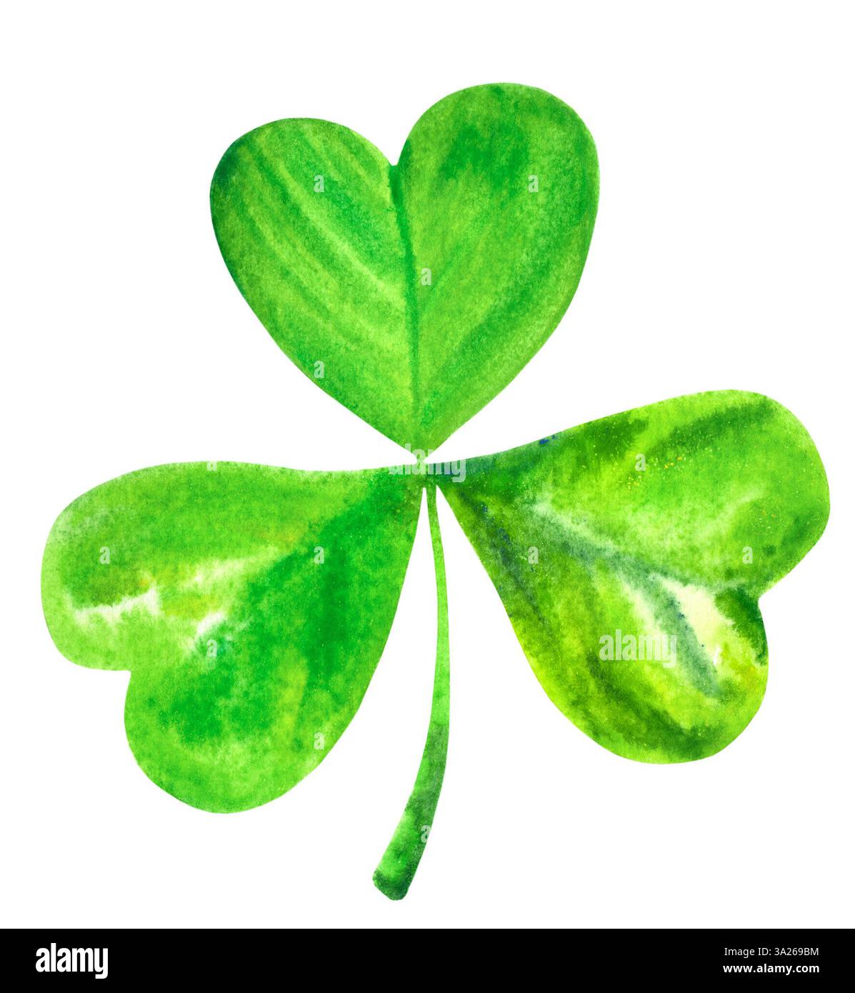 Green watercolor shamrock, Irish three leaf clover, an isolated design ...