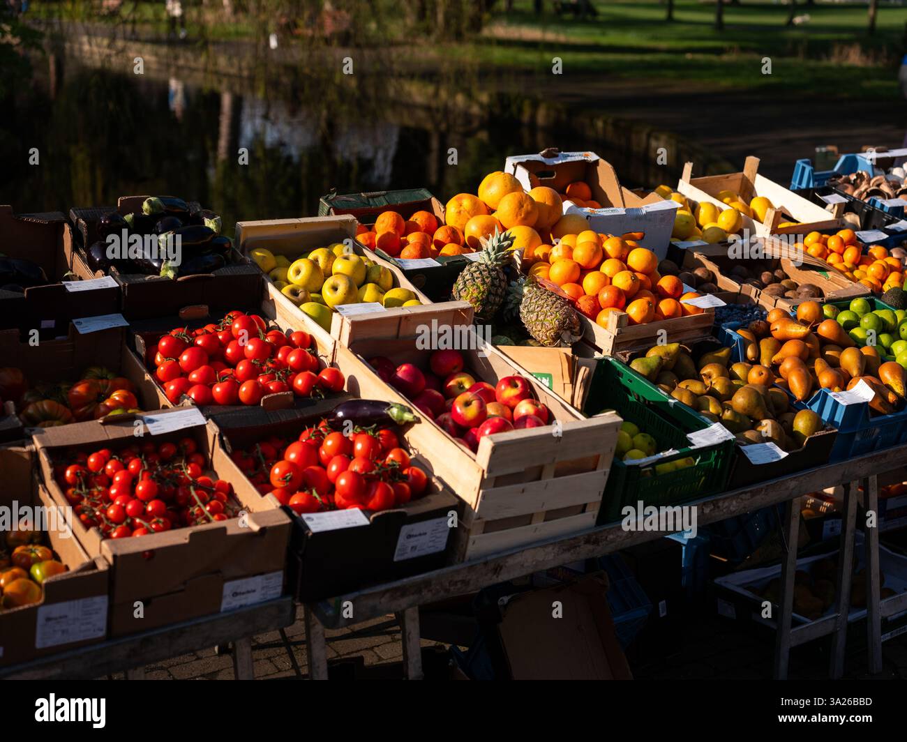 A farmers market in Herbert Park in Dublin city, Ireland Stock Photo ...