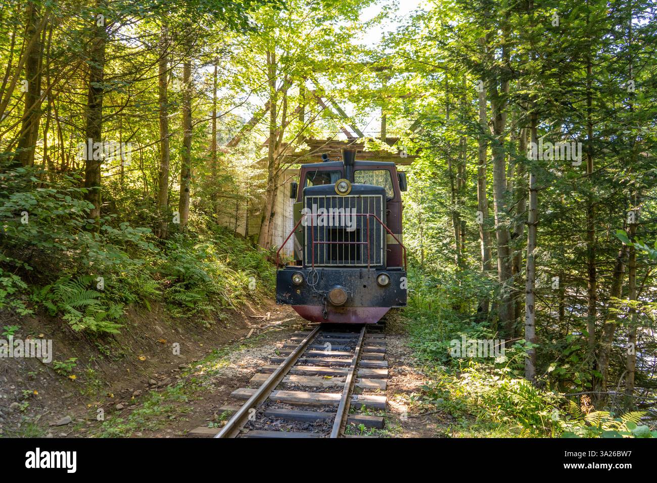 Carpathian railroad tram. Steam locomotive on a narrow-gauge railway ...