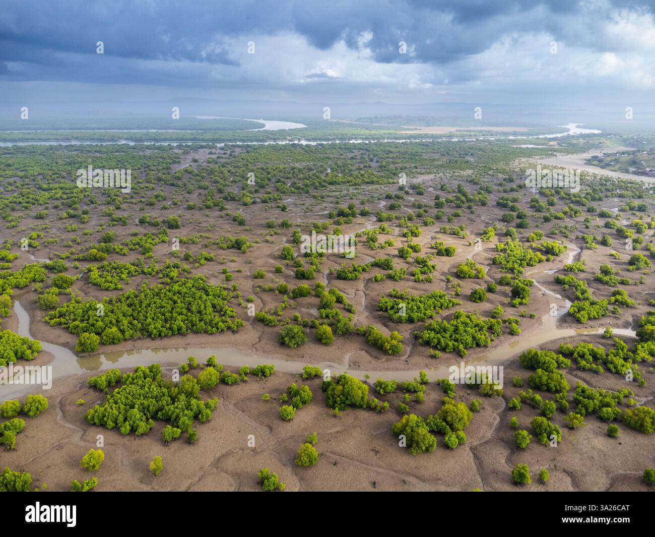 Drone image of mangroves at the coast of Mombassa in Kenia. A protected ...