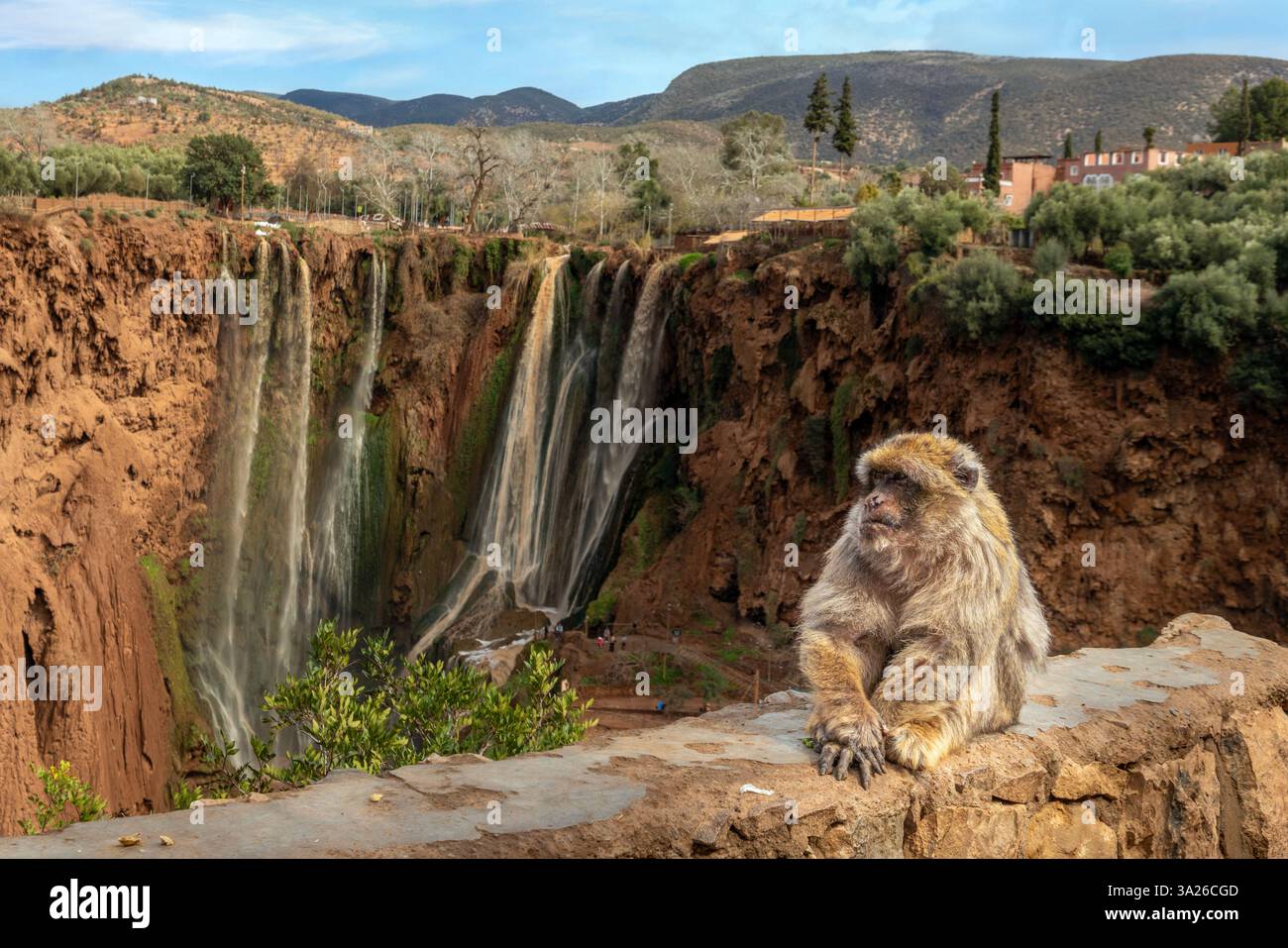The Cascades d'Ouzoud, located in the Azilal province of Morocco, is a ...