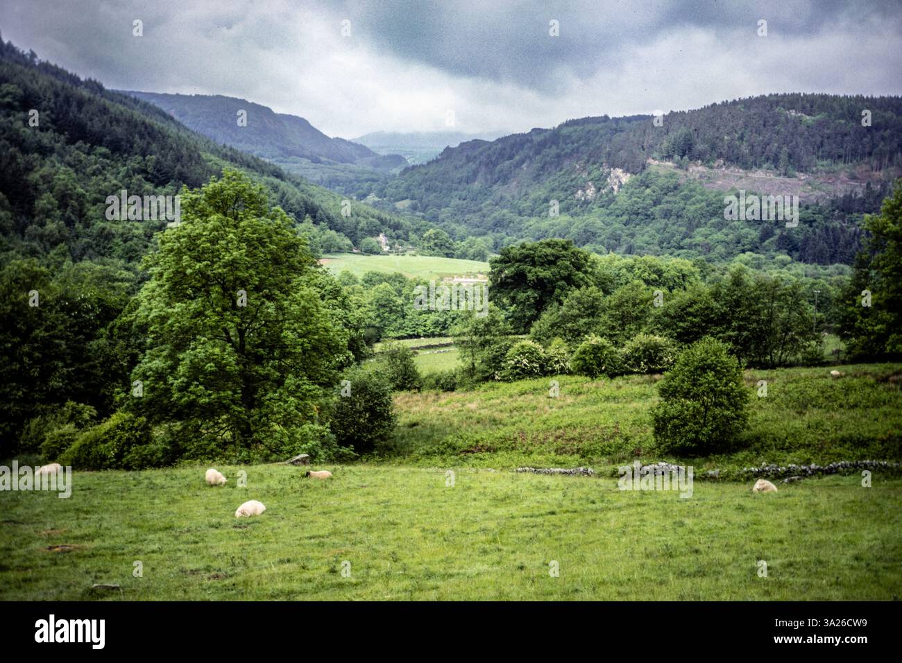 A vintage scene of British countryside Stock Photo - Alamy
