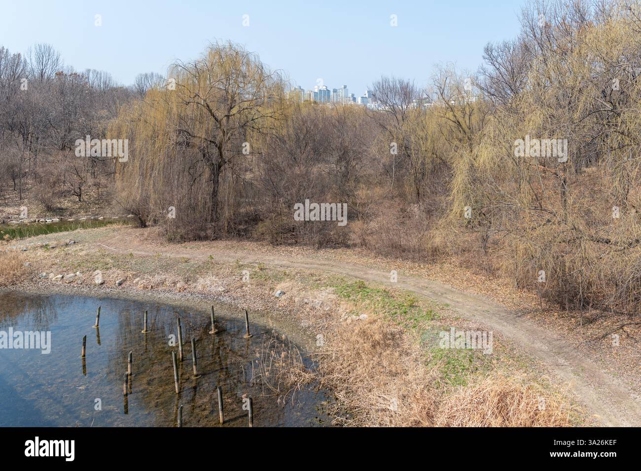 Seoul Forest large public park in Seongdong District in Seoul, capital ...