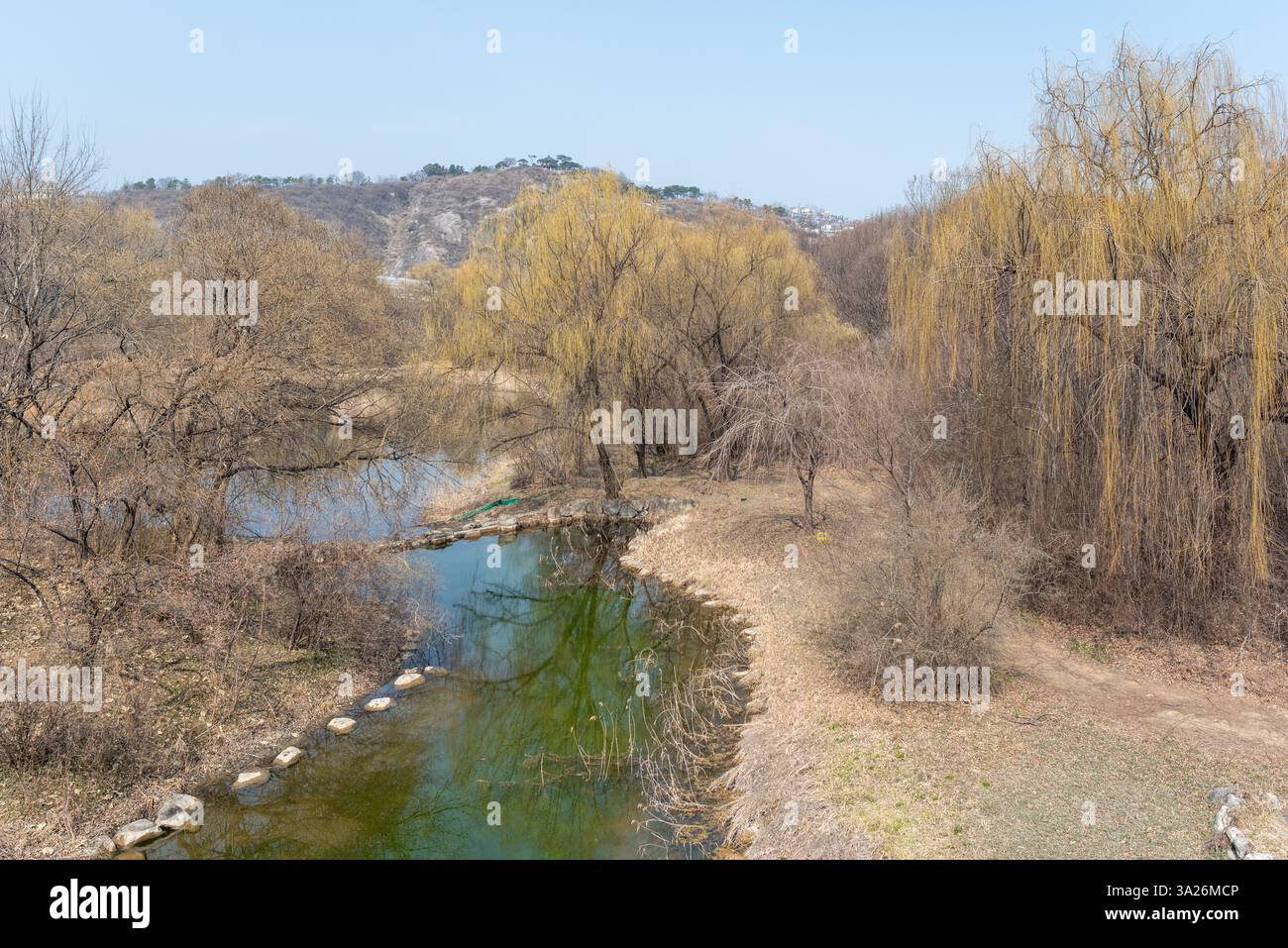 Seoul Forest large public park in Seongdong District in Seoul, capital ...