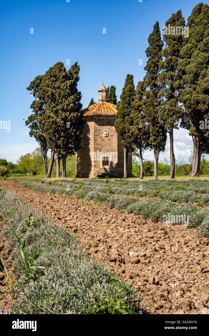 In front of san guido hi-res stock photography and images - Alamy