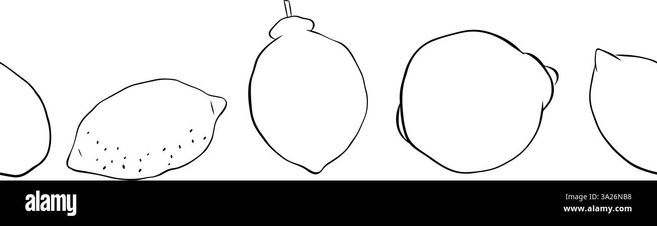 Lemon whole citric fruits seamless horizontal border. Hand drawn vector ...