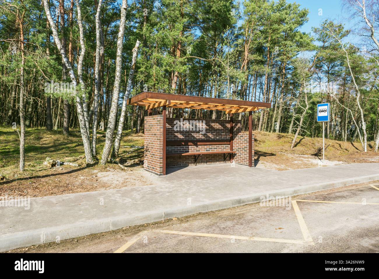 Empty bus stop in the pine forest Stock Photo - Alamy