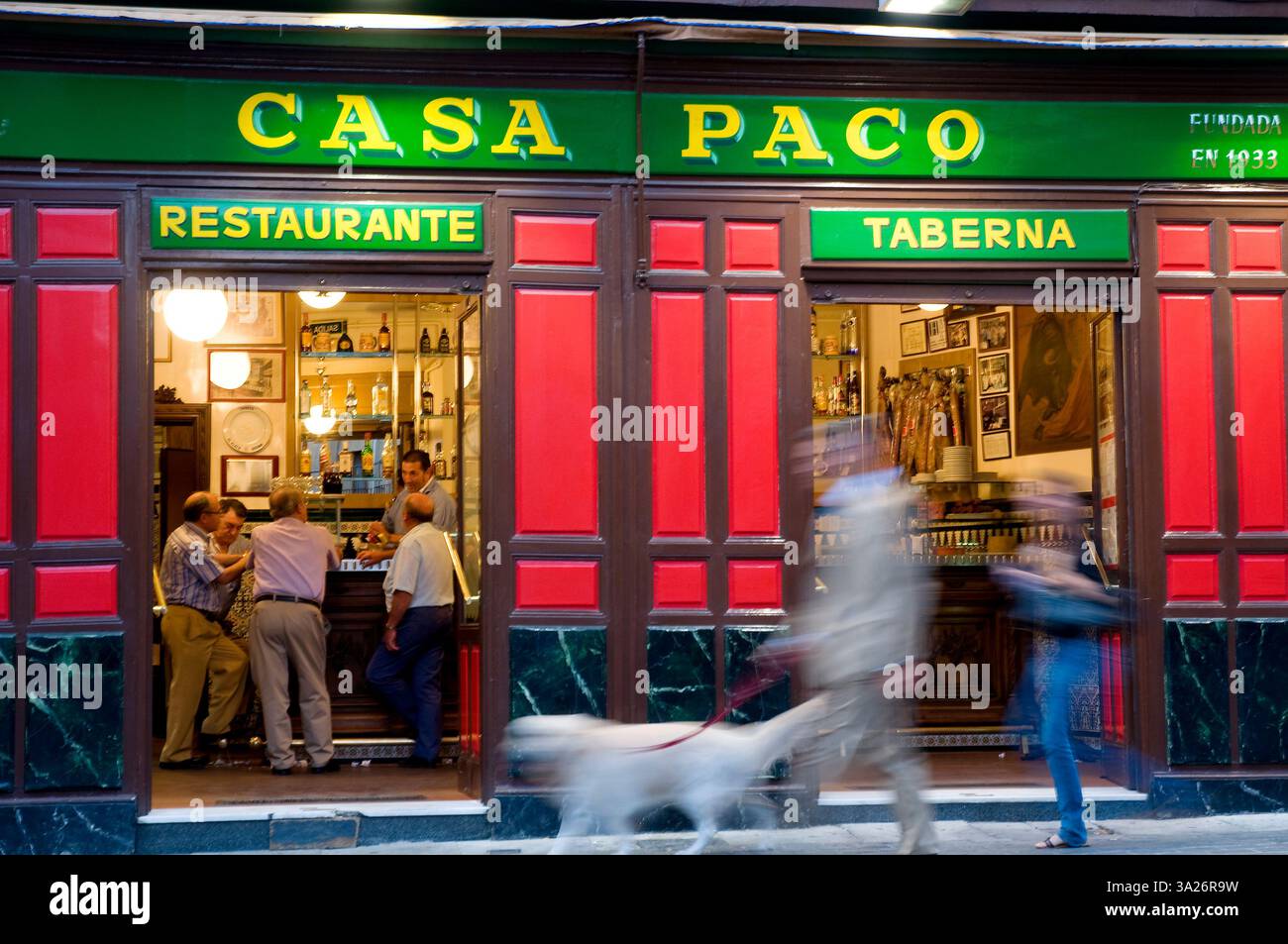 Perro paco hi-res stock photography and images - Alamy