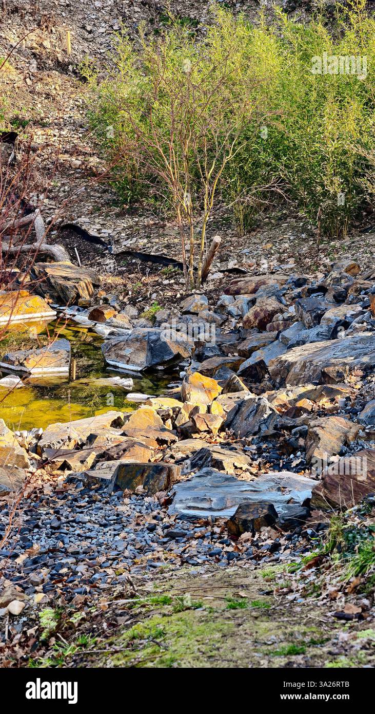 Mossy riverbed small river in hi-res stock photography and images - Alamy