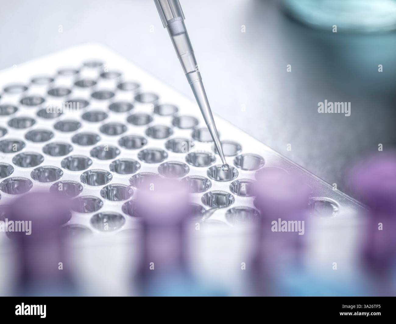 Close-up of pipette placing liquid into clear multi-well plate for ...