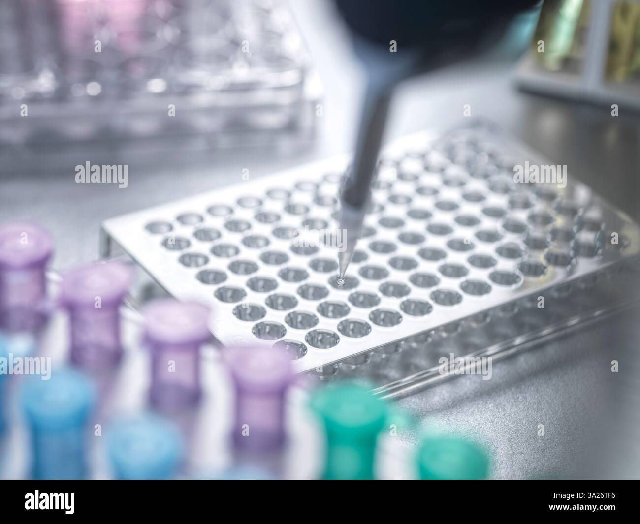 Laboratory pipette placing liquid into a multiwell plate on a metallic ...