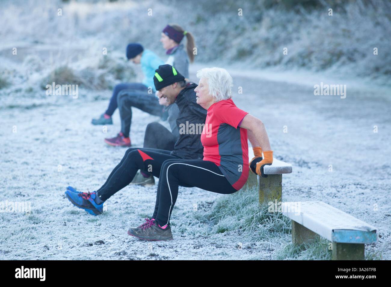 Four people exercise outdoors on a frosty morning, performing tricep ...
