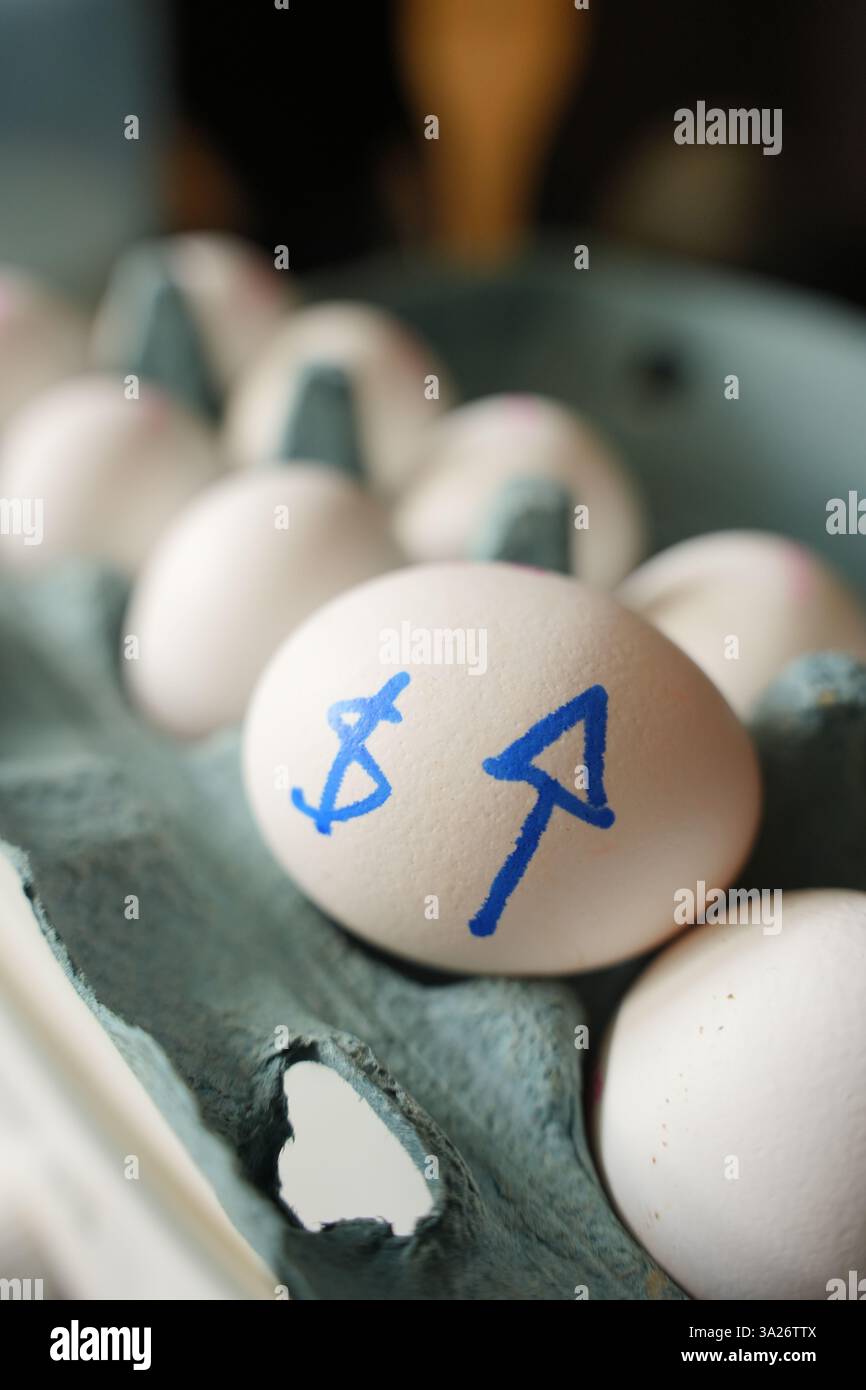 Box of white eggs with one egg marked with dollar signs, depicting high ...