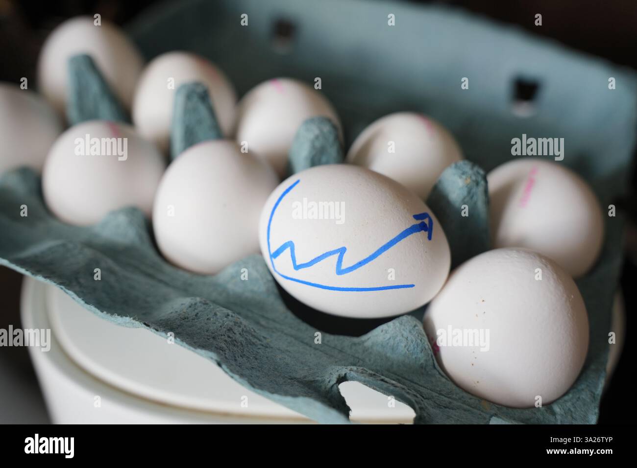 Box of white eggs with 1 eggs marked with a increasing line graph ...