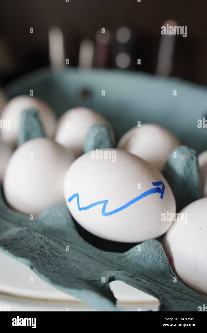 Box of white eggs with 1 eggs marked with a increasing line graph ...