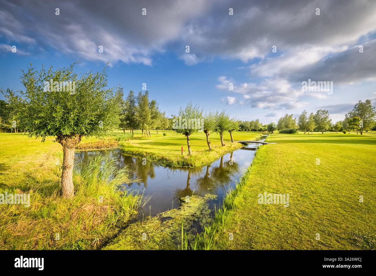 Courseview hi-res stock photography and images - Alamy