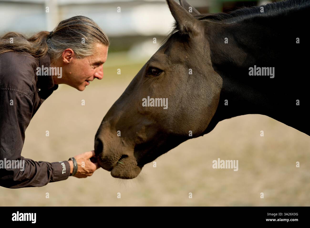 Person and brown horse touching noses in a gentle, close interaction ...