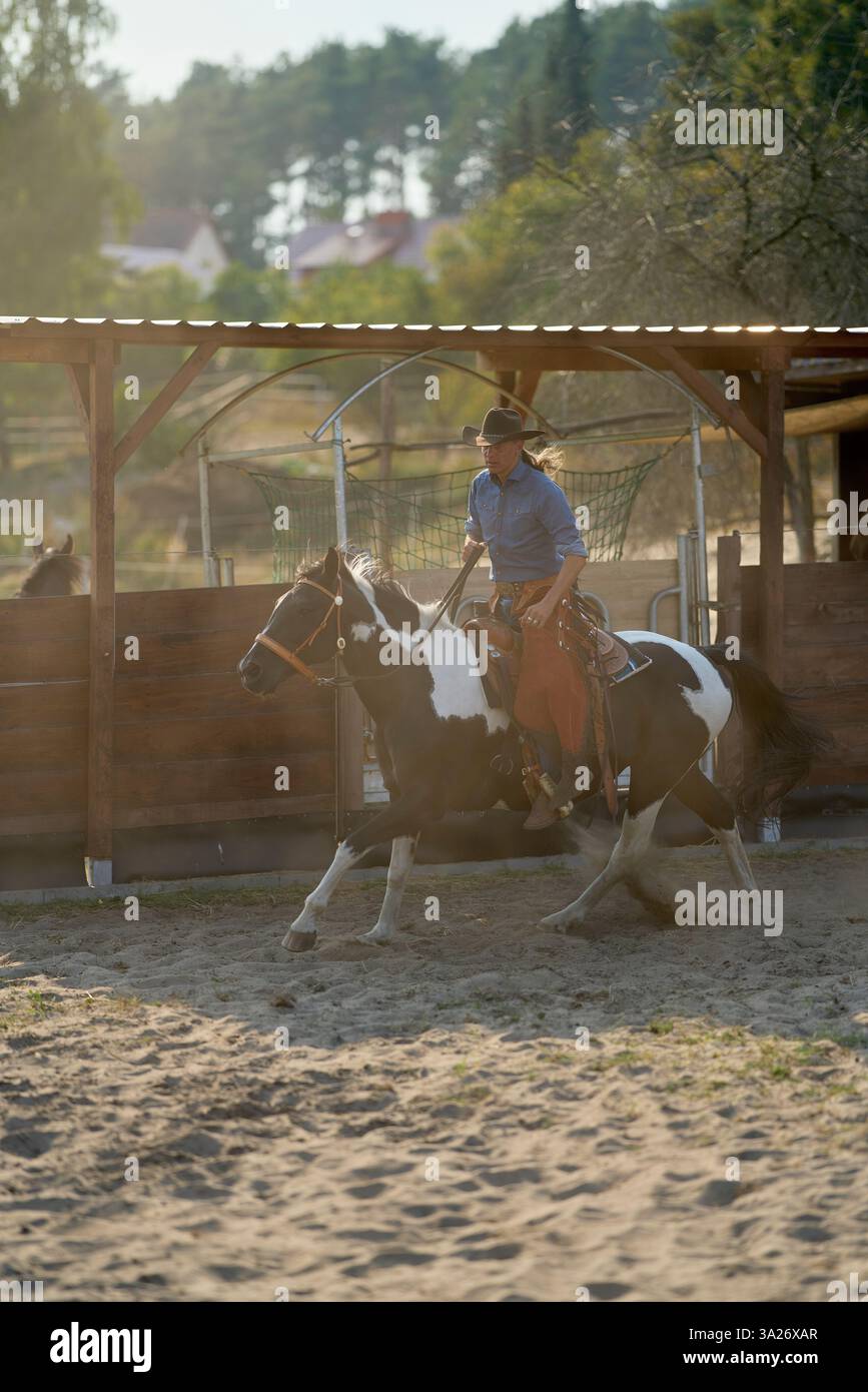 Galloping horse hi-res stock photography and images - Alamy