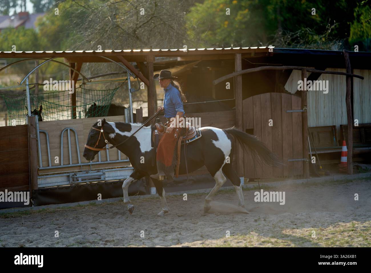 Rider on a black and white horse near a wooden stable with trees in the ...