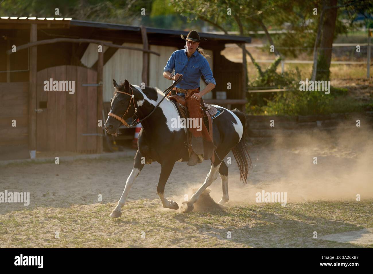 Cowboy riding a black-and-white horse on a dusty ranch at sunset ...