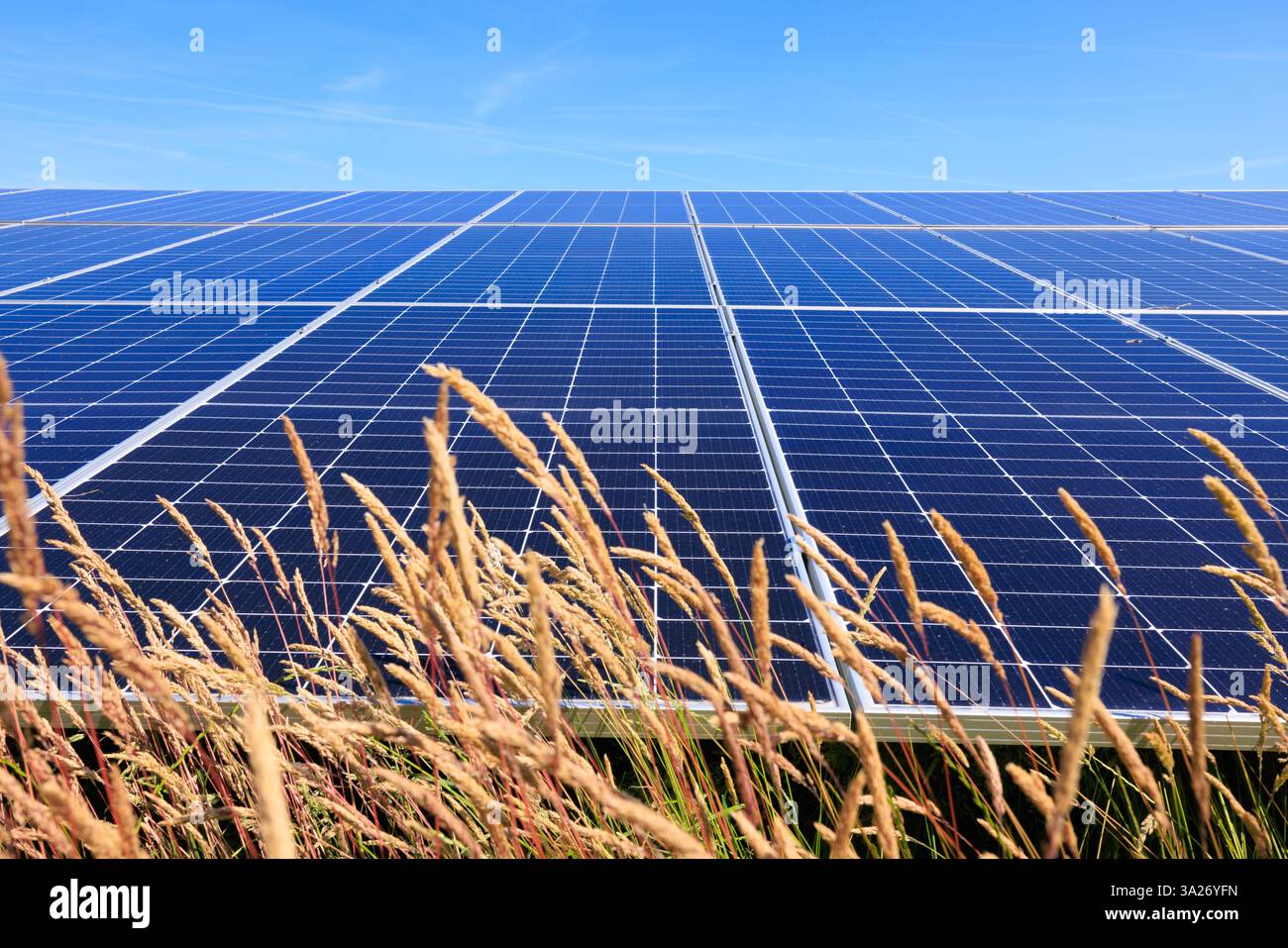 Solar panels for sustainable green energy for solar power. Needed for ...