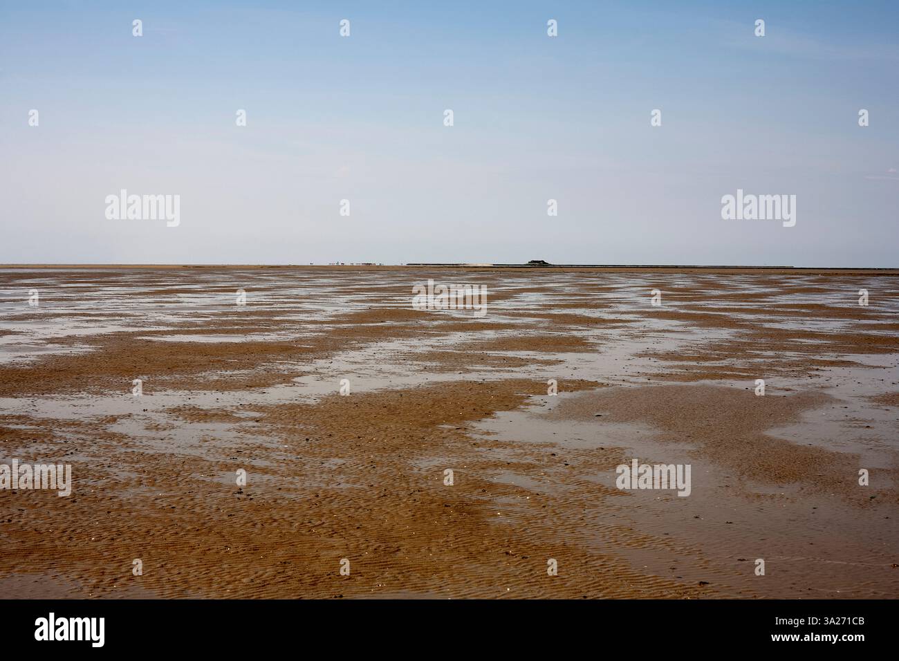 Expansive view of the wide Wadden Sea during low tide under a clear ...