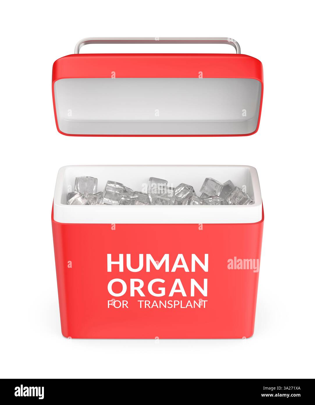 Empty open human organ transport box with ice inside Stock Photo - Alamy