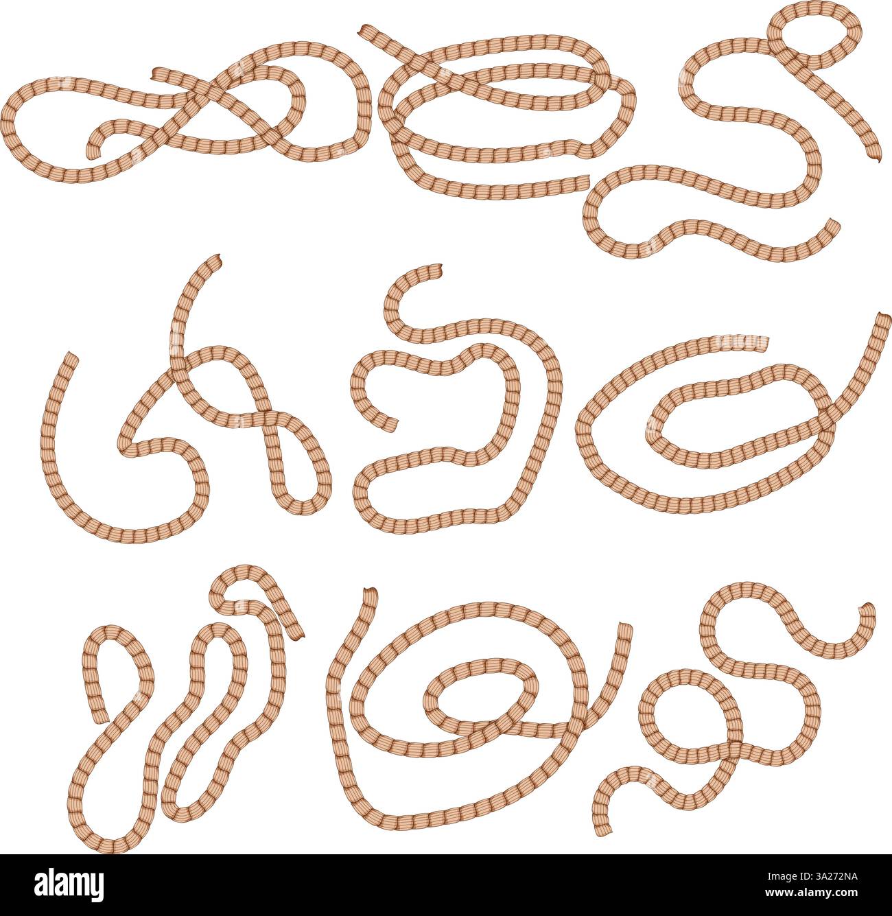 rope set cartoon vector illustration Stock Vector Image & Art - Alamy