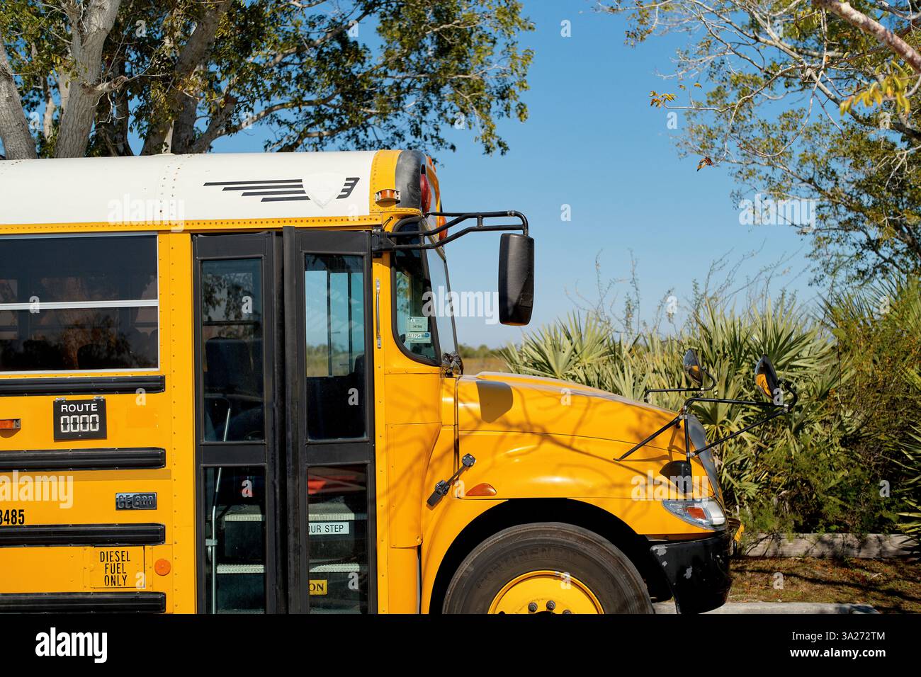 Yellow school bus parked beside trees on a sunny day. Miami, FL, USA ...