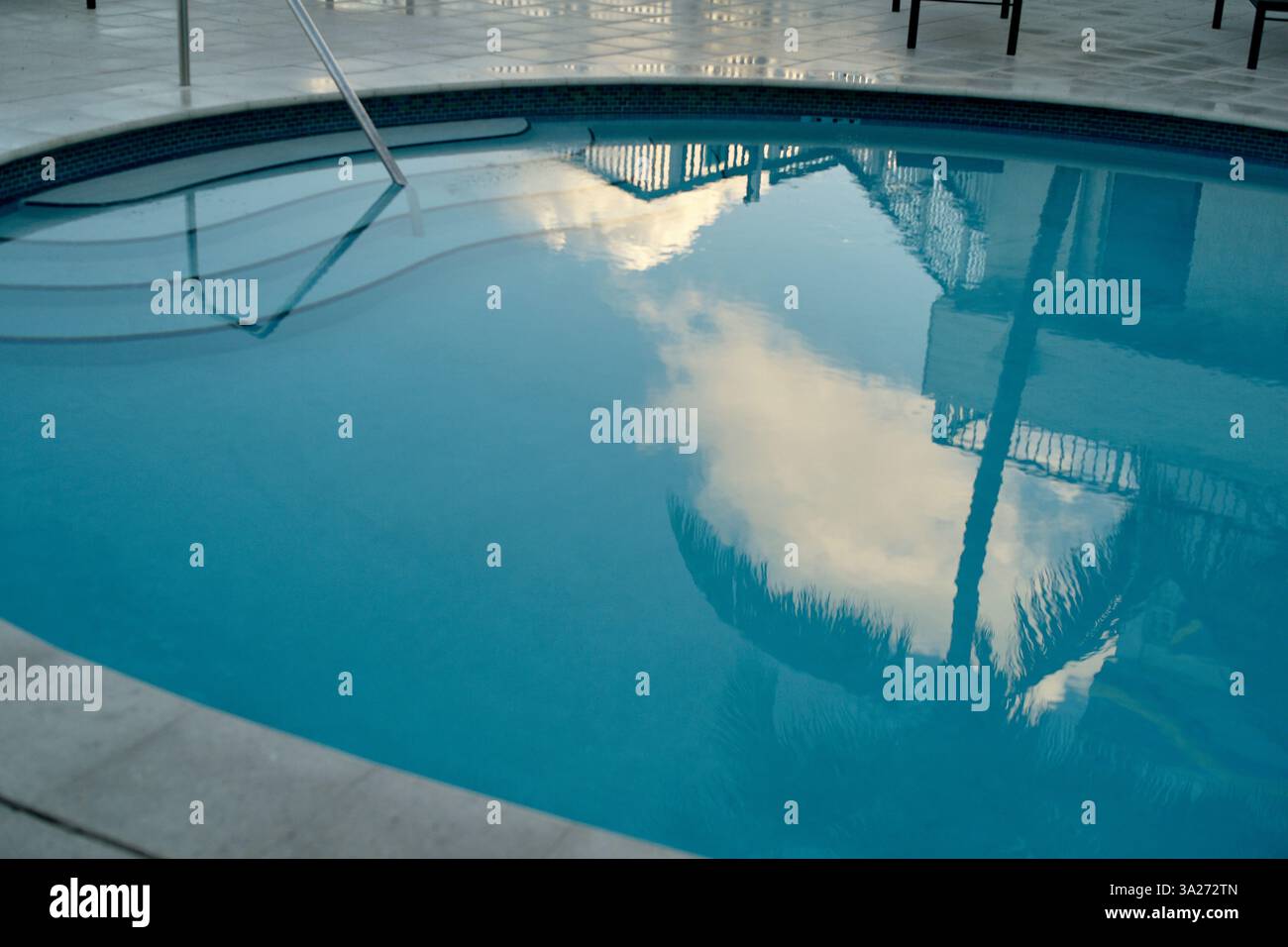 Swimming pool reflecting clouds and palm tree in a serene outdoor ...