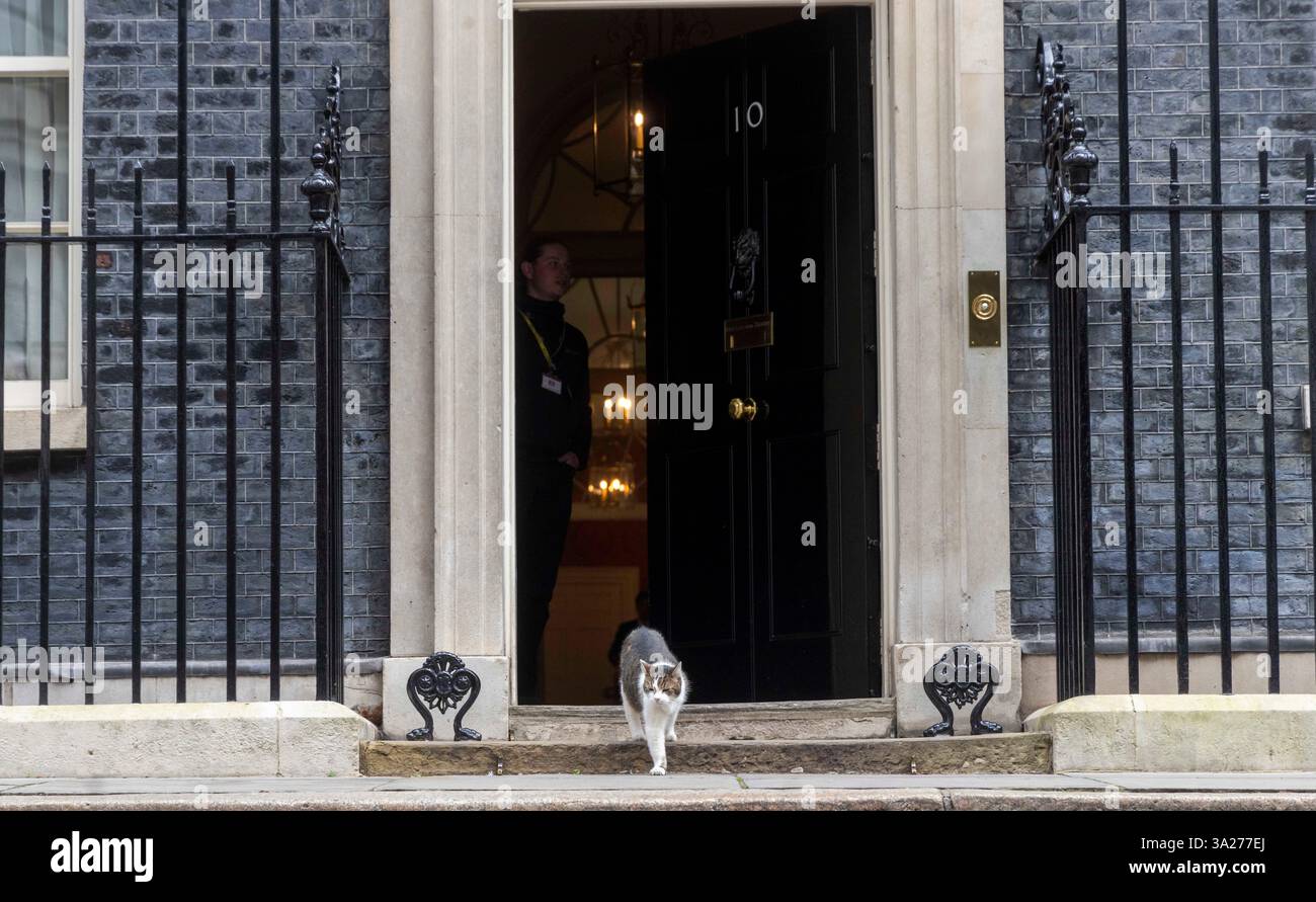 London, UK. 12th Mar, 2025. Larry the Cat at Number 10 Prime Minister ...