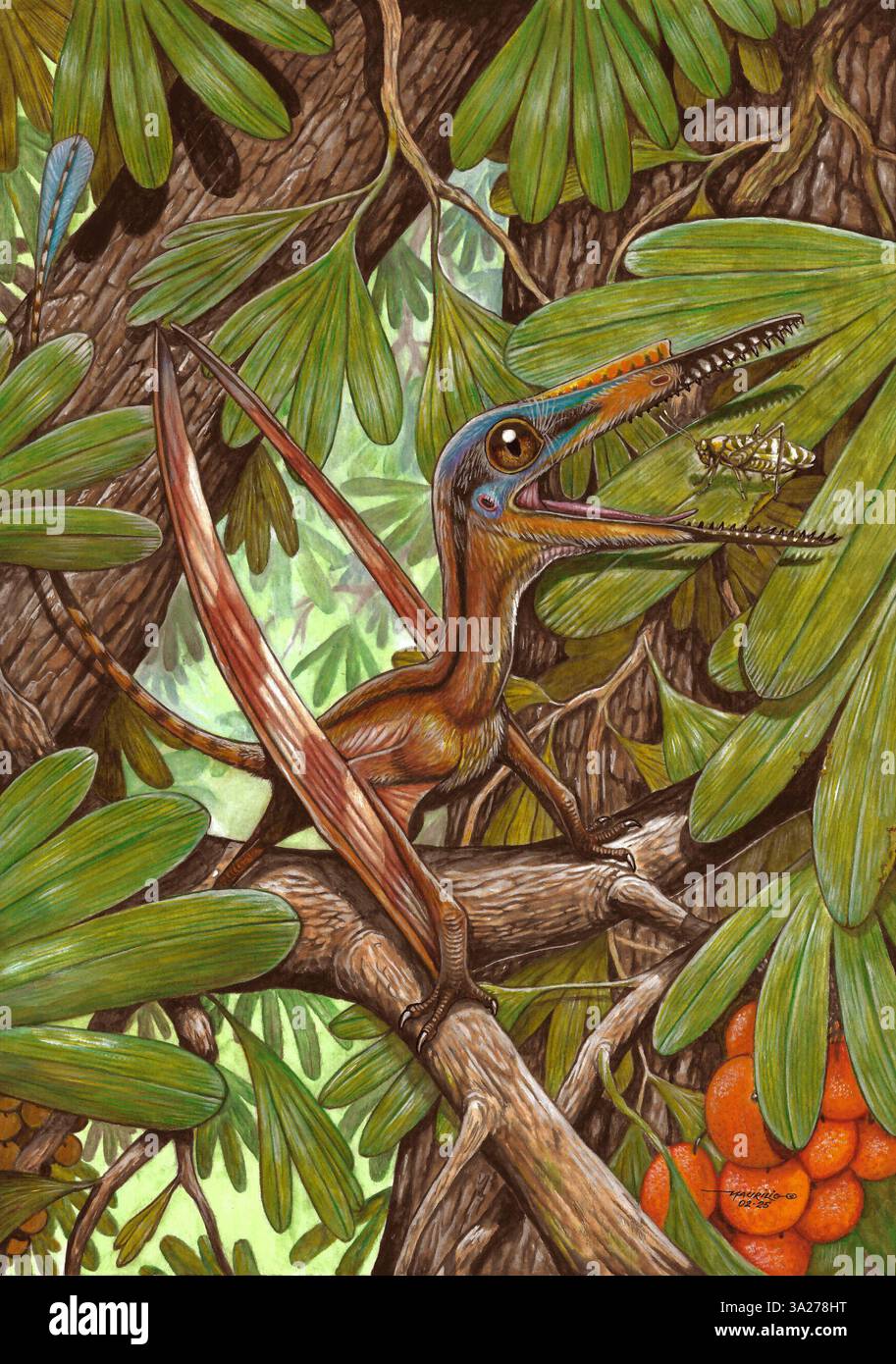 (250312) -- SHENYANG, March 12, 2025 (Xinhua) -- This illustration drawn by Maurilio Oliveira ...