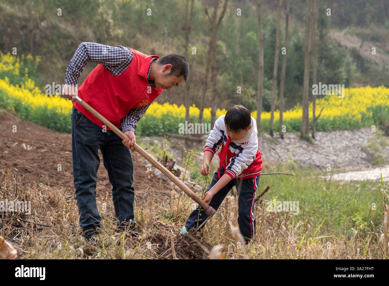 Beijing, China's Yunnan Province. 12th Mar, 2025. A volunteer plants a ...