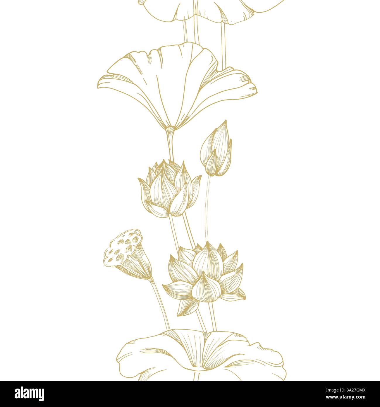 Lotus gold flowers, seed pod and leaves seamless border. Vector ...