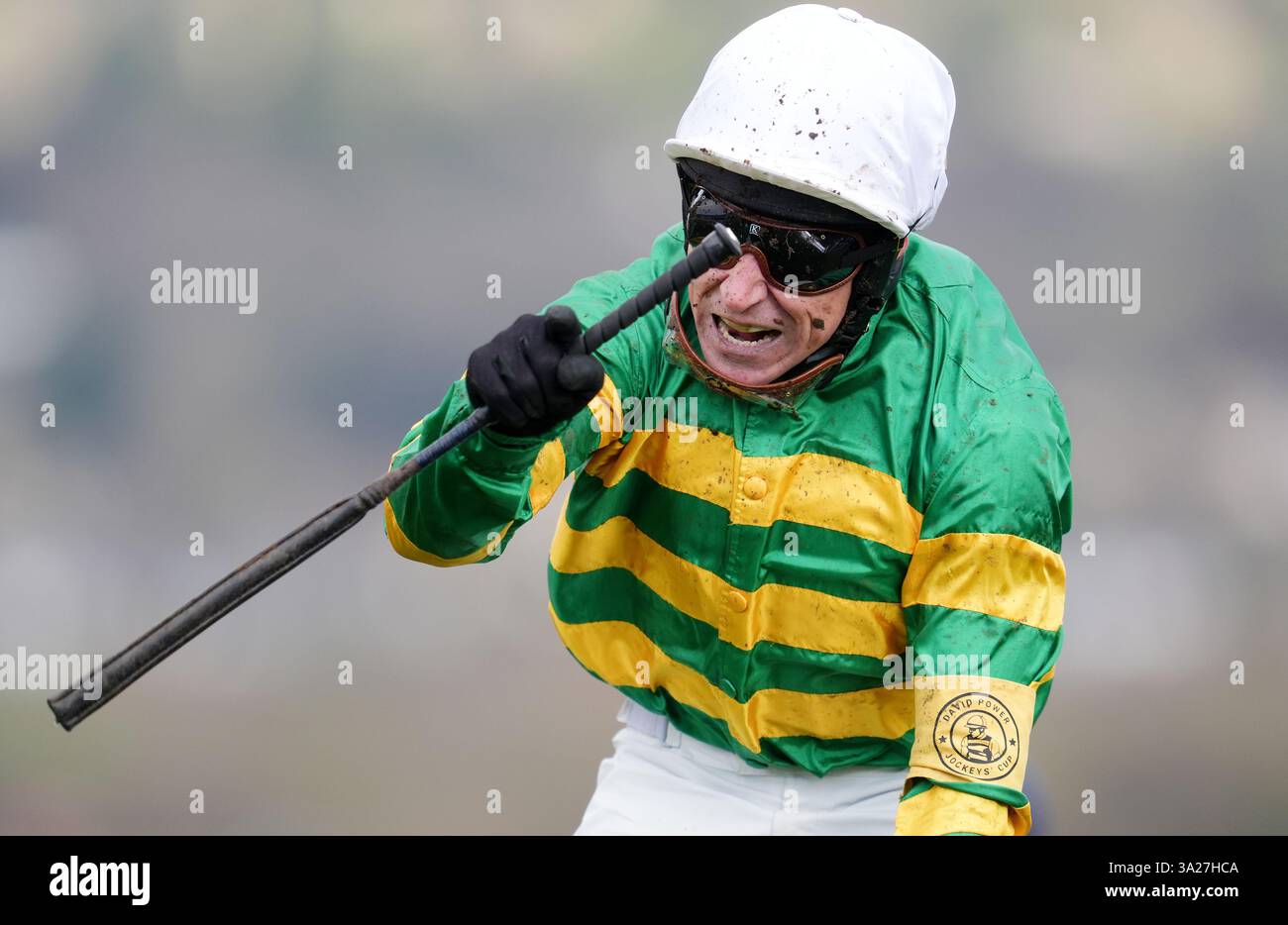 The New Lion ridden by Harry Skelton celebrates winning the Turners ...