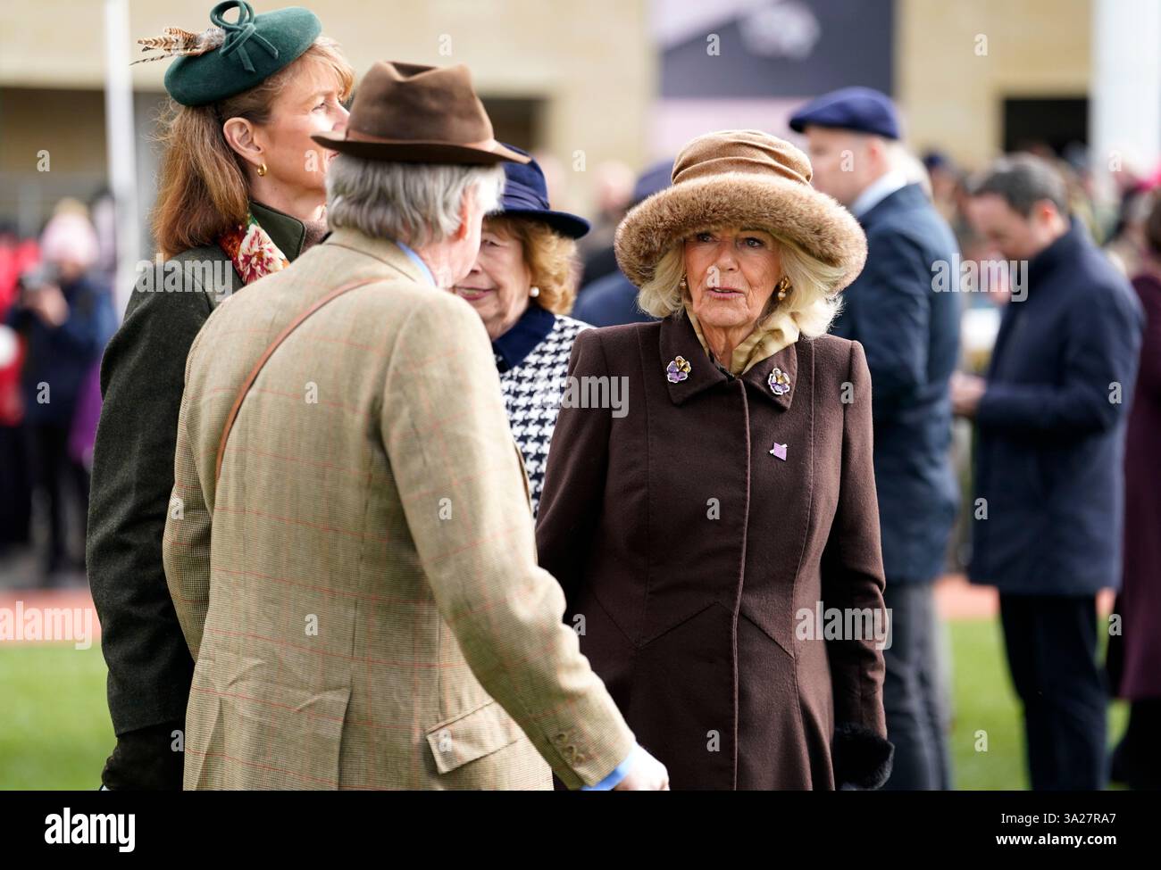 Queen Camilla in the parade ring on day two of the 2025 Cheltenham ...