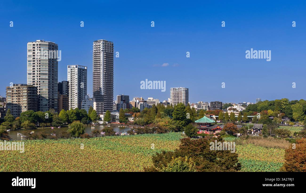Panoramic view of Shinobazu Pond in Ueno Park, Tokyo, Japan. The lush ...