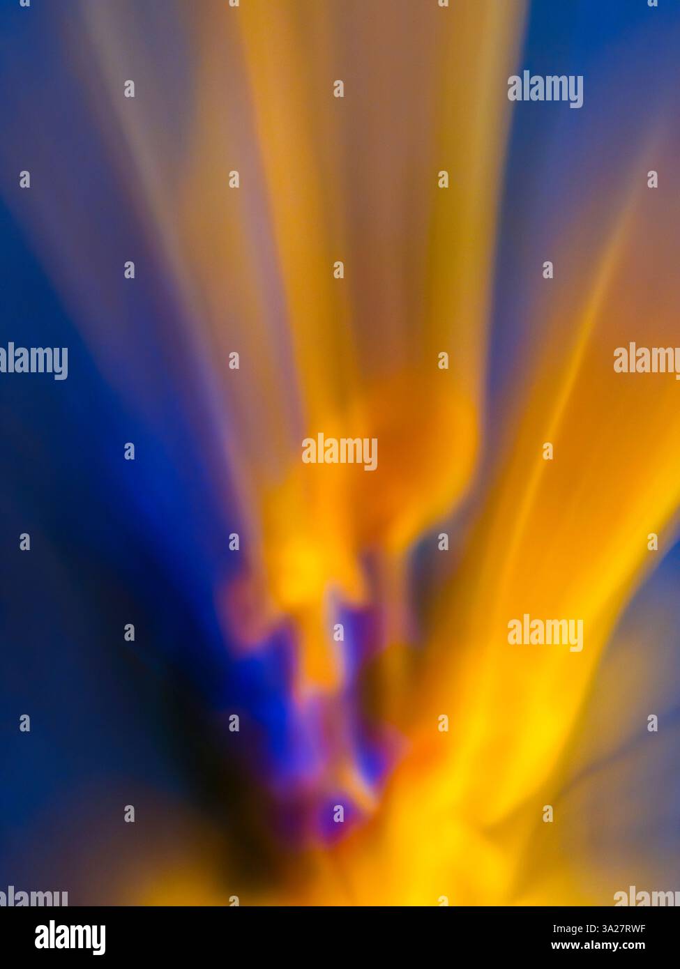 A swirl of warm yellows and cool blues creates an ethereal atmosphere ...