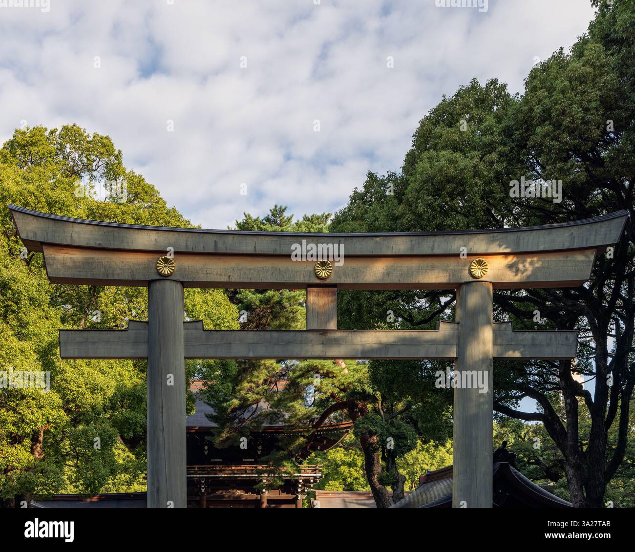 Torii gate of Meiji Shrine in Tokyo crafted from wood and featuring ...