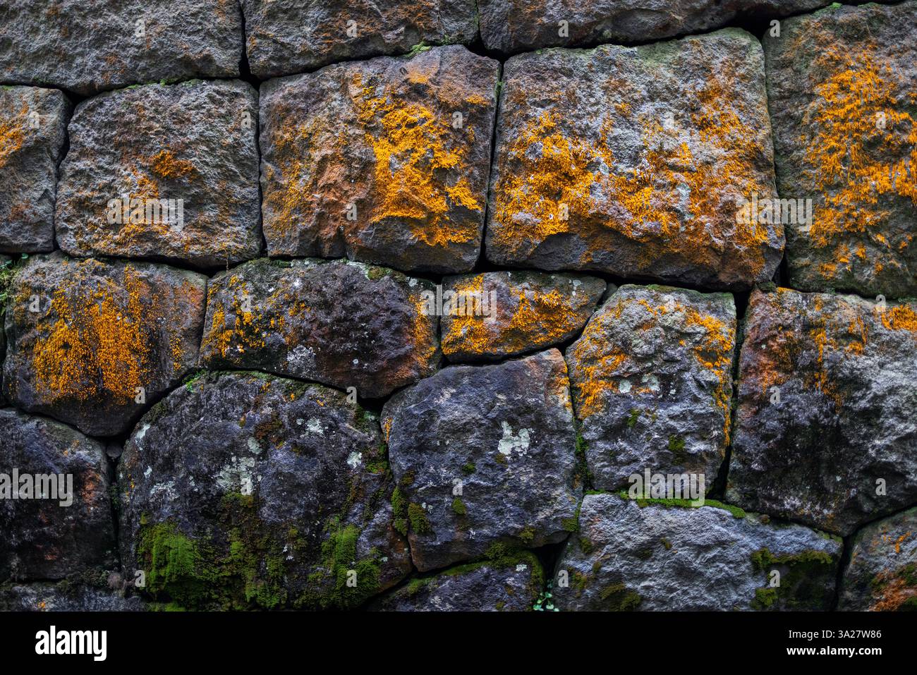 Rough stone wall with bright orange lichen and green moss forming a ...