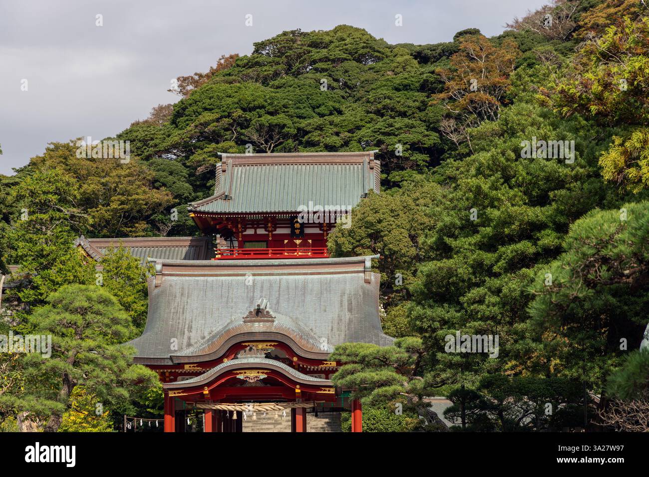 Tsurugaoka Hachimangu Shrine in Kamakura Japan with traditional red and ...