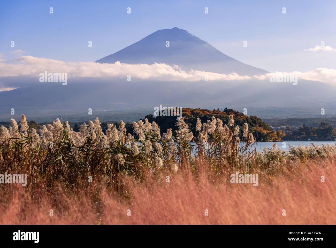 Mount Fuji stands above a cloud line with an autumn island and Lake ...
