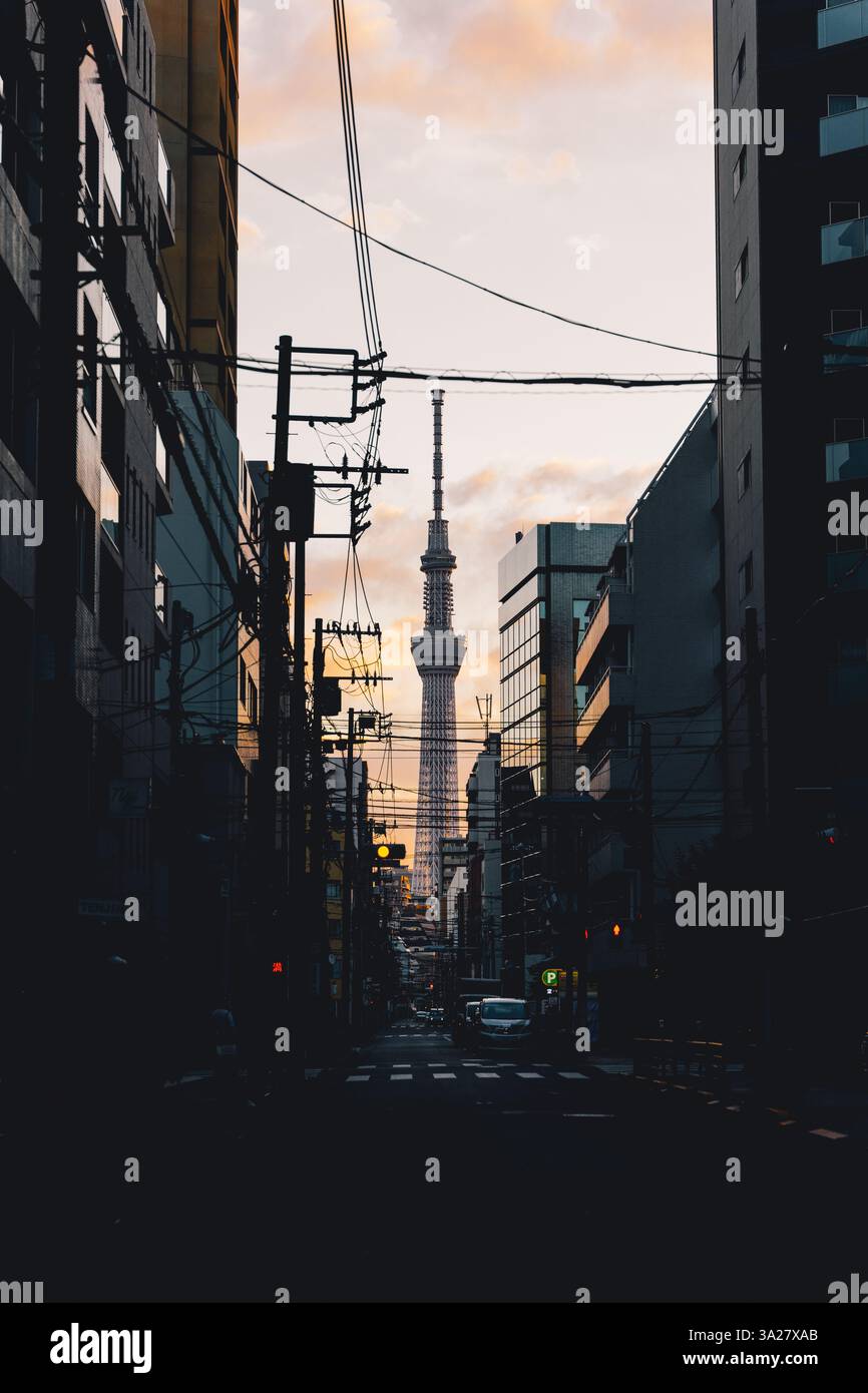 The beautiful Tokyo Skytree in Japan Stock Photo - Alamy