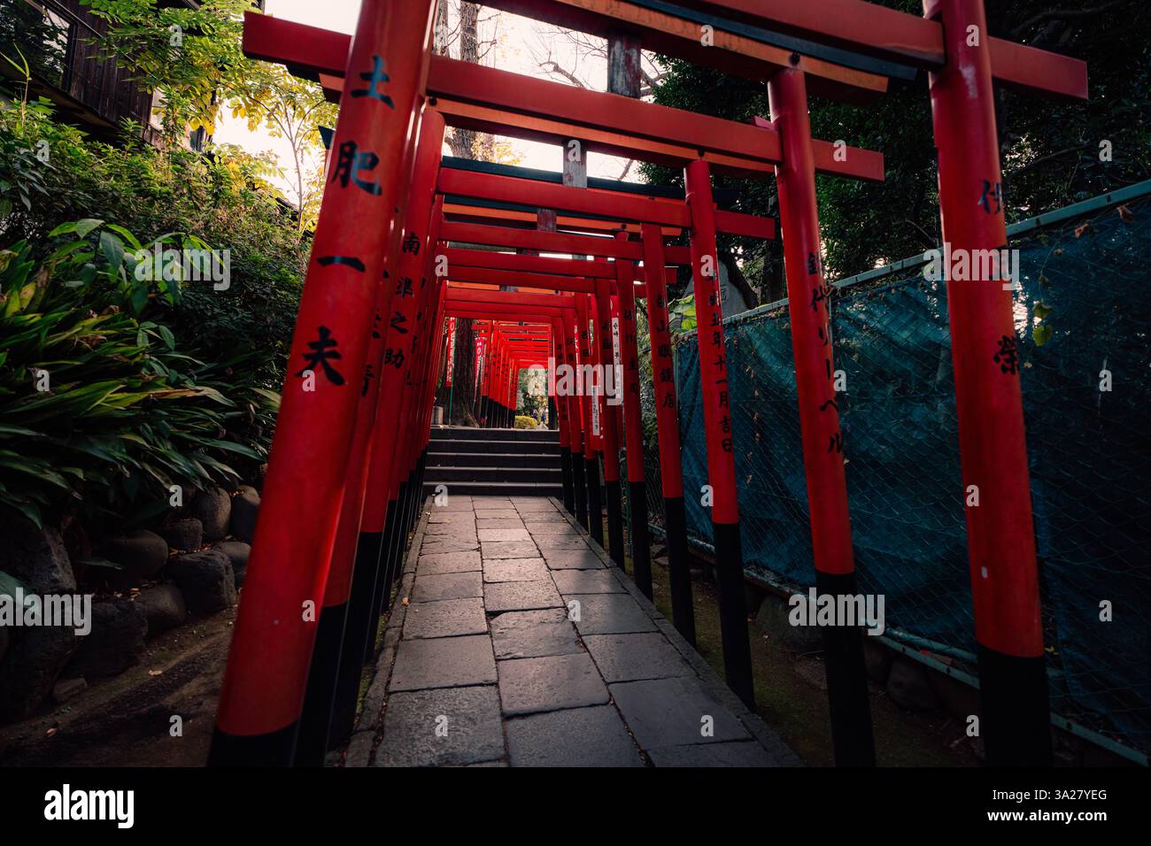 The beautiful Ueno Park in Tokyo Stock Photo - Alamy