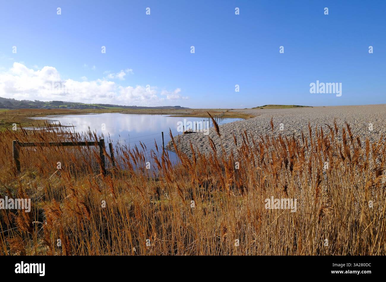 salthouse saltmarsh, north norfolk, england Stock Photo - Alamy