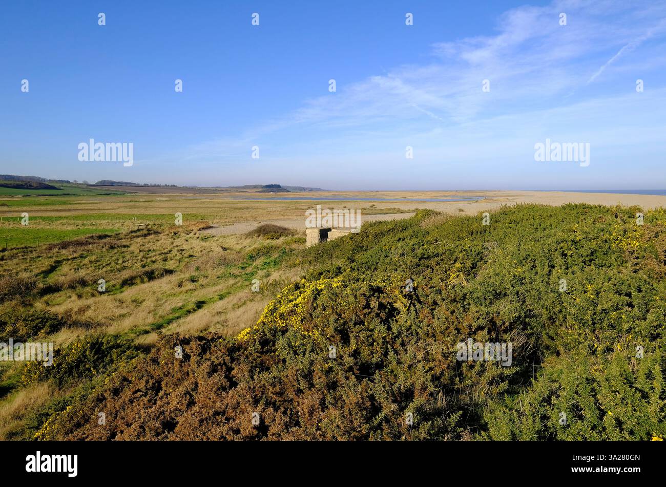 salthouse saltmarsh, north norfolk, england Stock Photo - Alamy