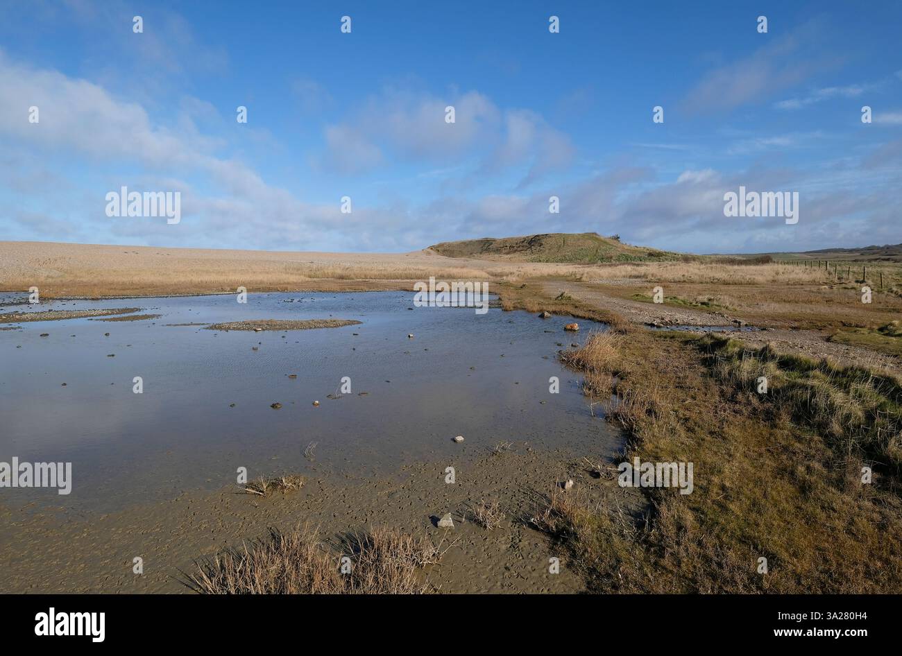salthouse saltmarsh, north norfolk, england Stock Photo - Alamy